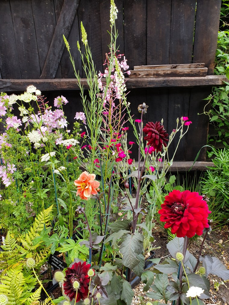 English secret garden – Charis White Interiors