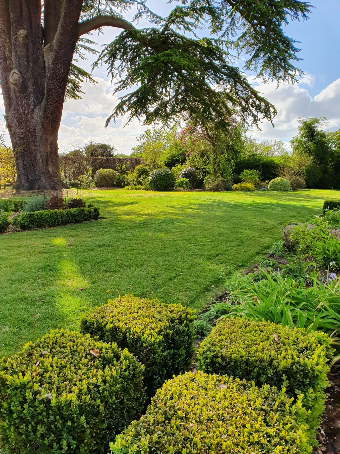 The Old Rectory garden opens for The National Garden Scheme in ...
